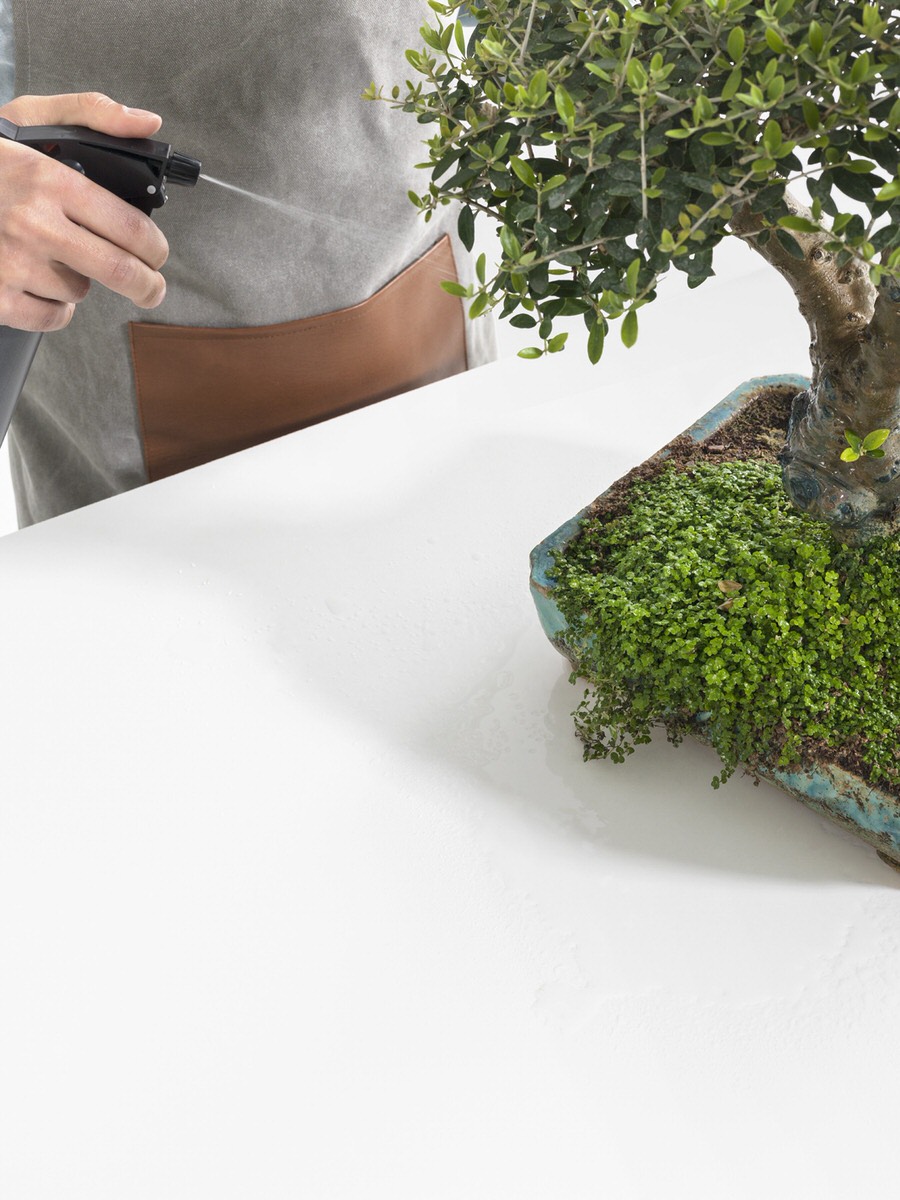 Moon White - Precision Stone Design